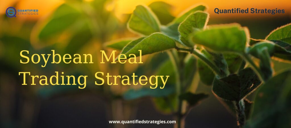 Soybean Meal Trading Strategy – Backtest, Futures Example, and Tactical ...