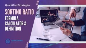 Sortino Ratio: Formula, Calculator, and Definition ...